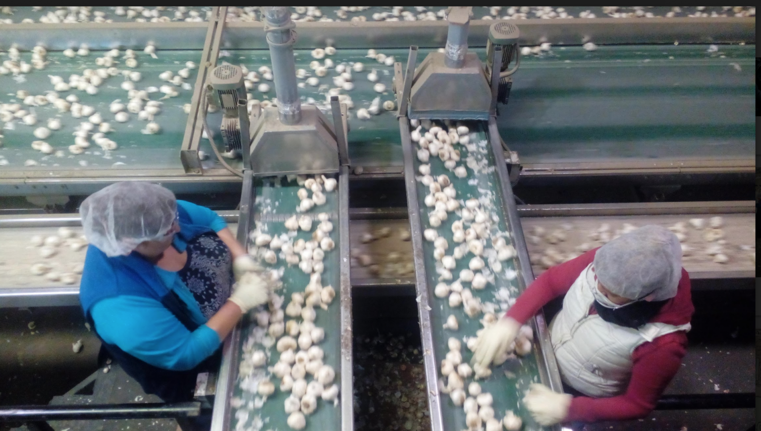 Christopher Ranch disputes accusations in Netflix show | Gilroy ...