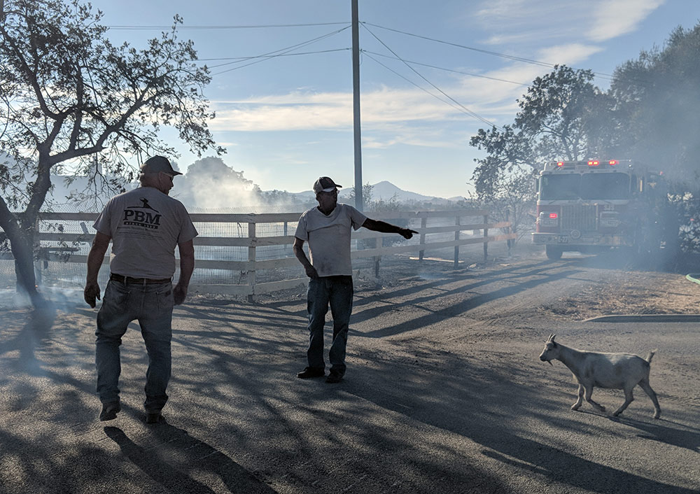 Fire blazes through San Martin | Gilroy Dispatch | Gilroy, California
