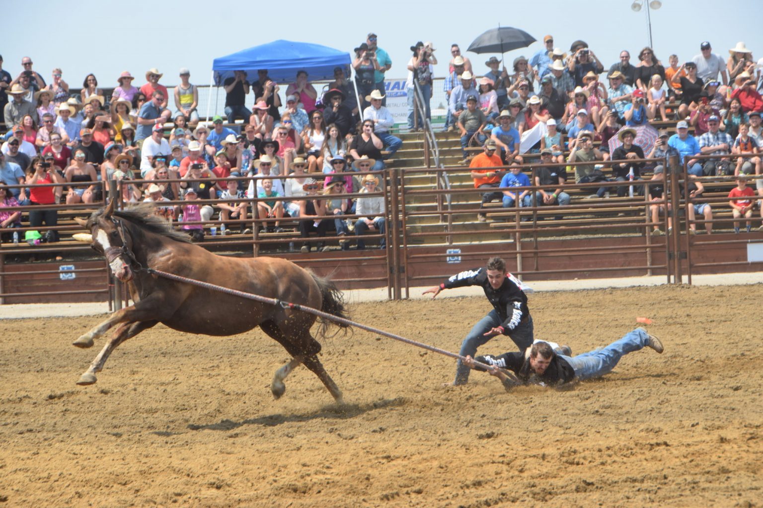 Local Scene: Gilroy Rodeo returns, enrollment days at Gavilan College ...