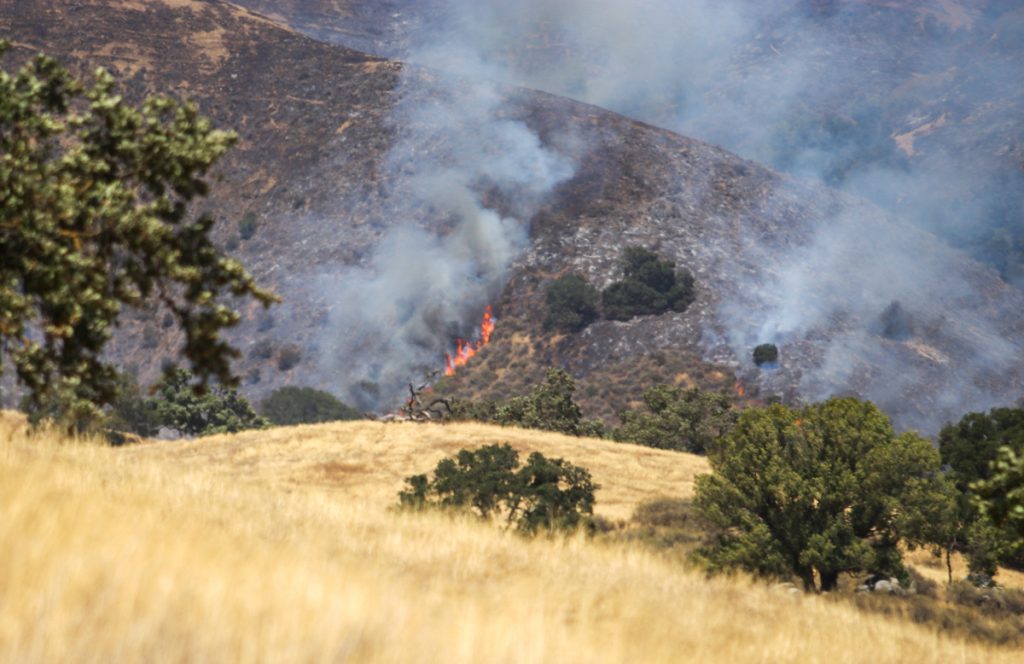 Crews Fire|Photo Gallery | Gilroy Dispatch | Gilroy, California