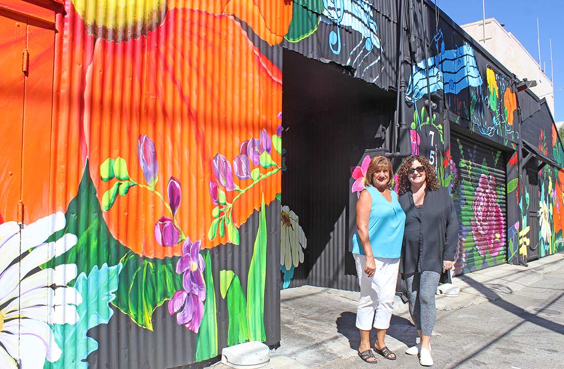 Alleyway mural project aims to spruce up downtown | Gilroy Dispatch