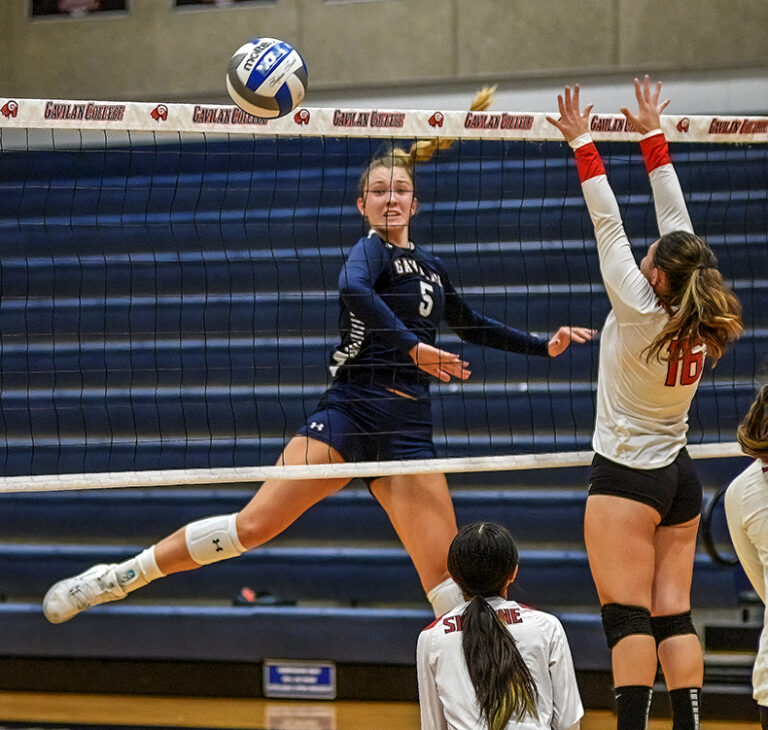 Former Sobrato, CHS, GHS and Hollister standouts lead resurgent Gavilan ...