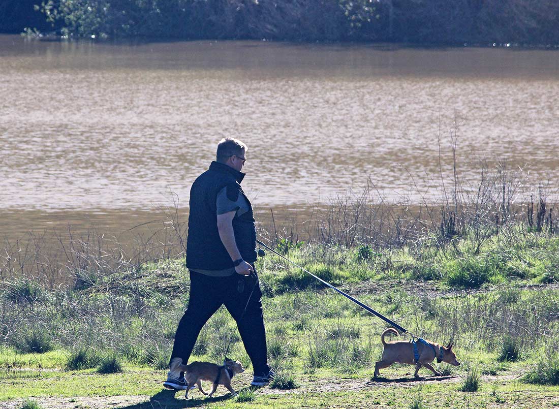 Gilroy gets drenched: Atmospheric river storms heighten risks of ...
