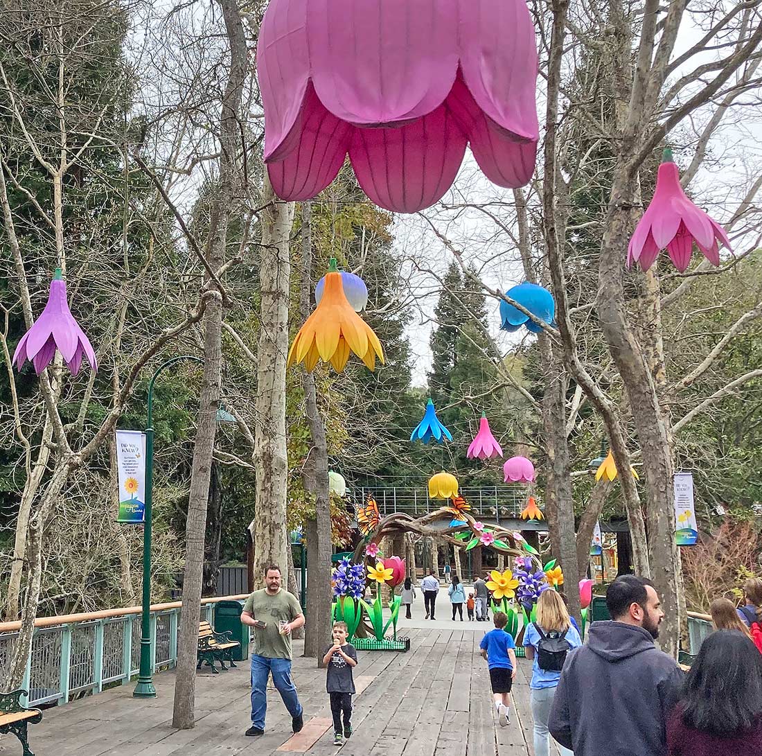 PHOTOS: Gilroy Gardens opens for 2023 with floral-themed event