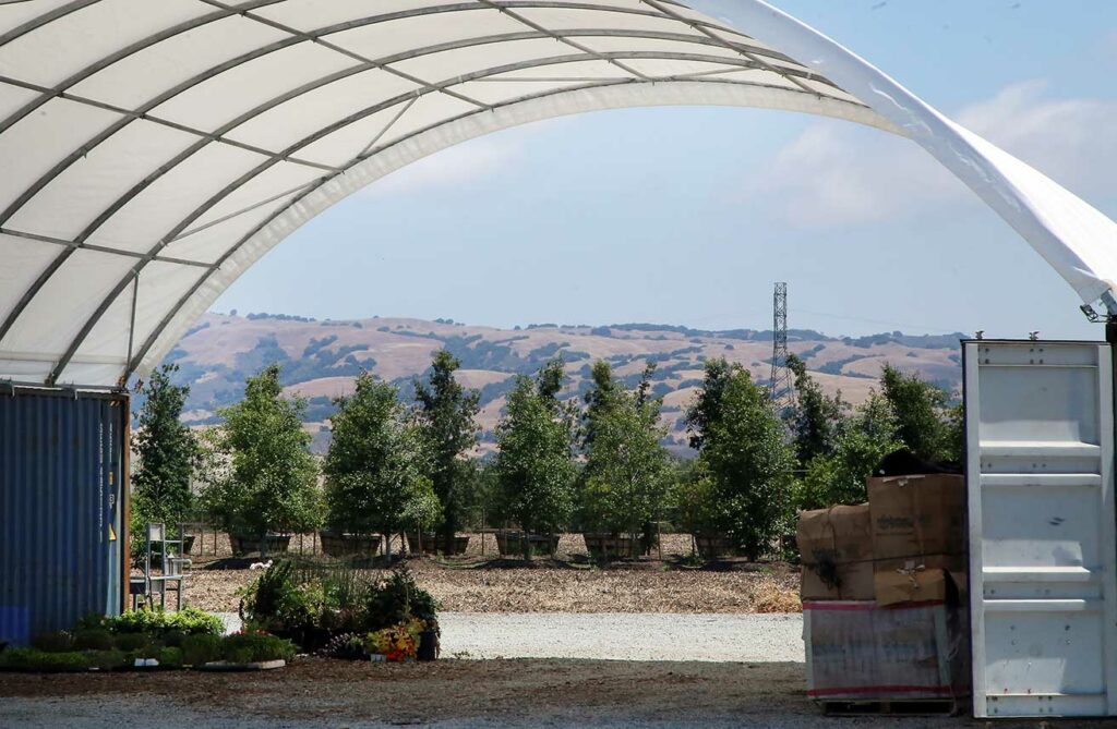 Google’s Gilroy farm plans to sell trees to the public | Gilroy Dispatch