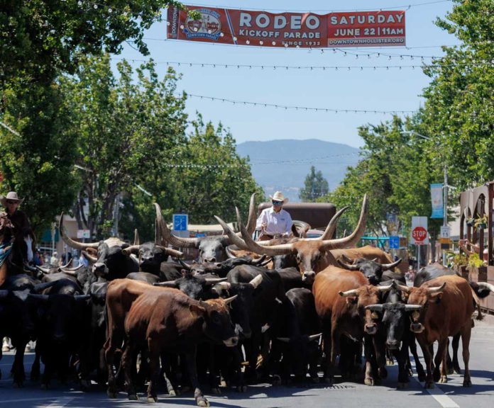 San Benito County Rodeo is June 28-30 | Gilroy Dispatch | Gilroy ...