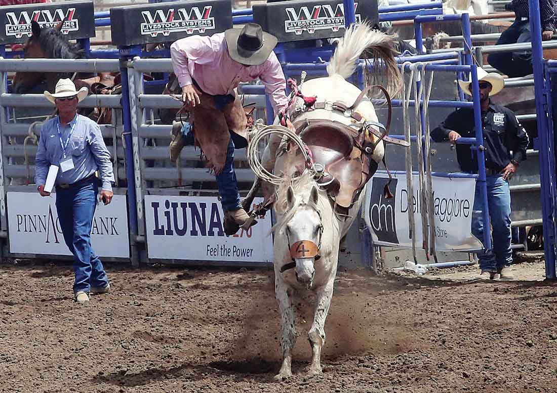 Rodeo heritage thrives | Gilroy Dispatch | Gilroy, California