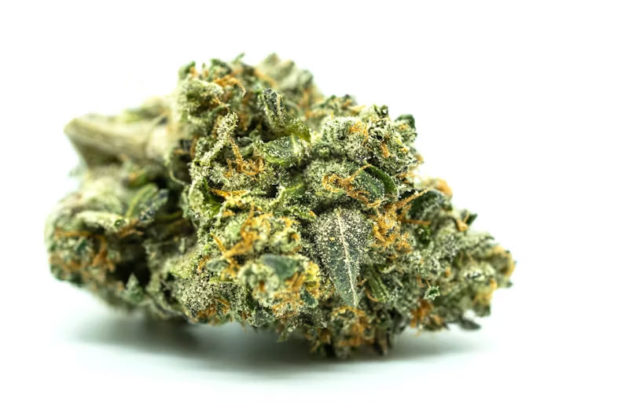 10 Strongest Weed Strains and High THC Strains